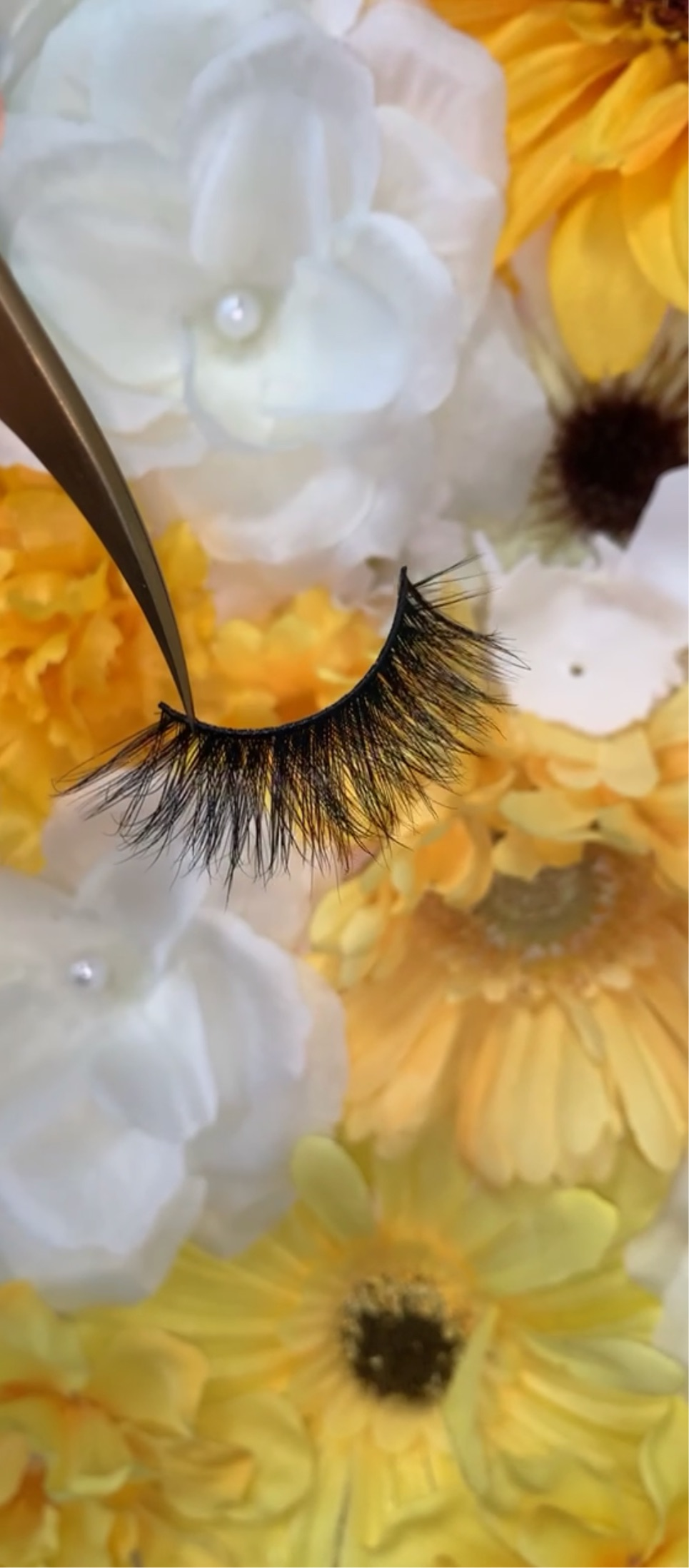 Products – Beewinked